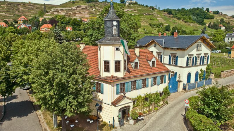 Dresden Magazin: Saxon wine culture