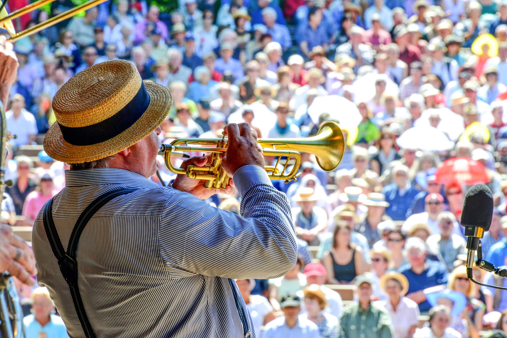 Dixieland Festival 2024 bringt Dresden zum Swingen • Dresden Magazin