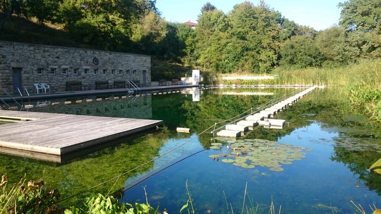 Die schönsten Freibäder in Dresden Elbland - Dresden Magazin