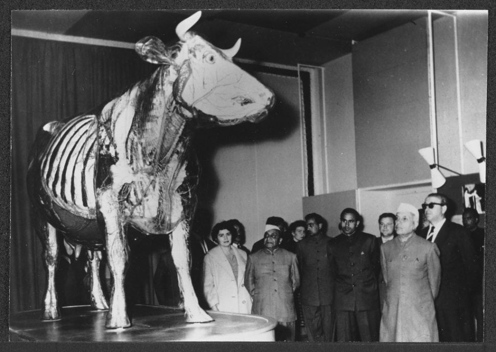 "VEB Museum": Das Deutsche Hygienemuseum Dresden blickt zurück auf ...