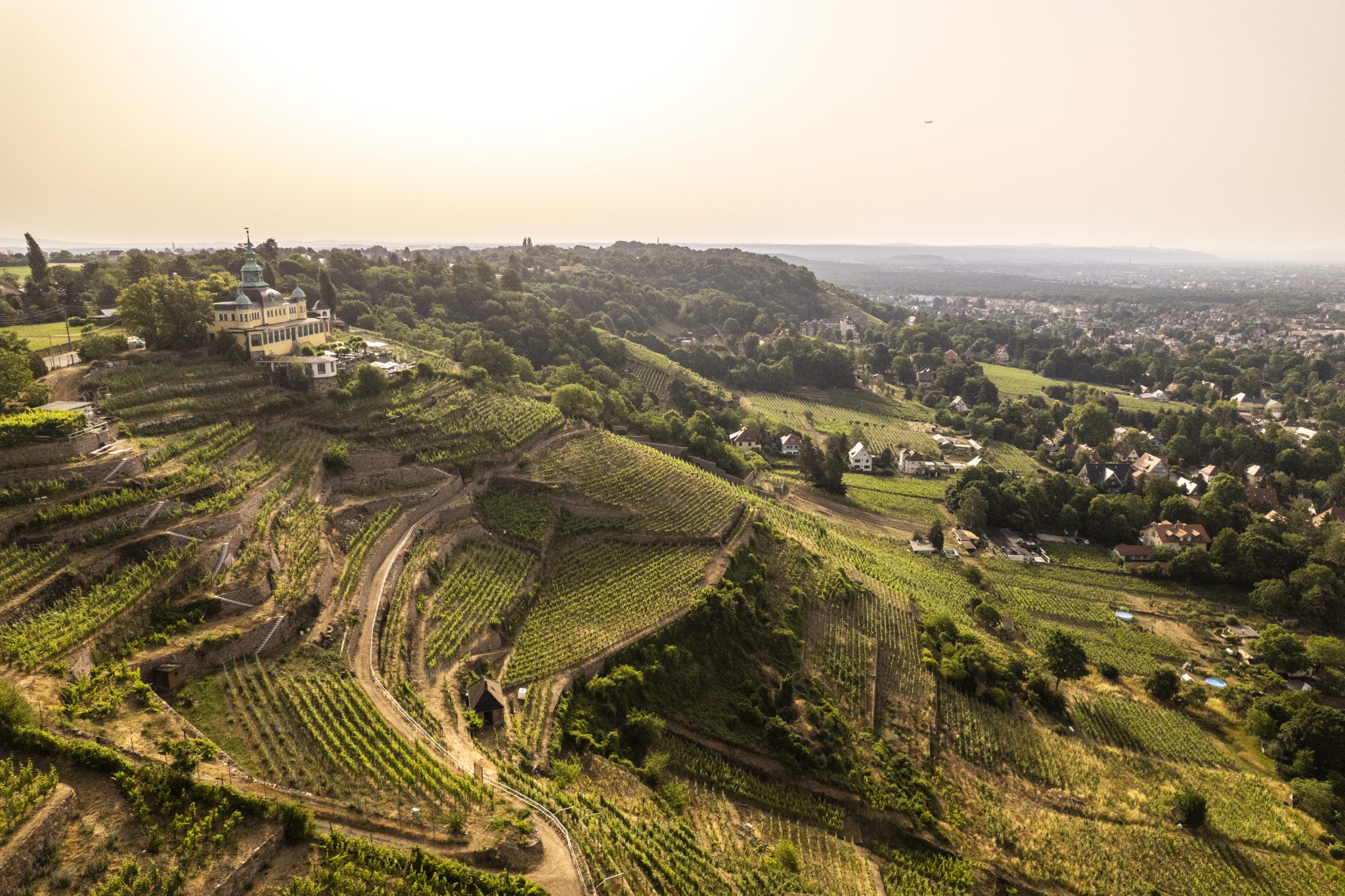 Studieren in Dresden: 10 Gründe für den Hochschulstandort • Dresden Magazin